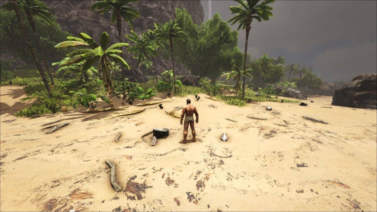Ark Survival Evolved: Ark Beginner's Guide - StudioLoot