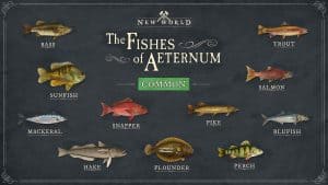 New World Fishing Guide